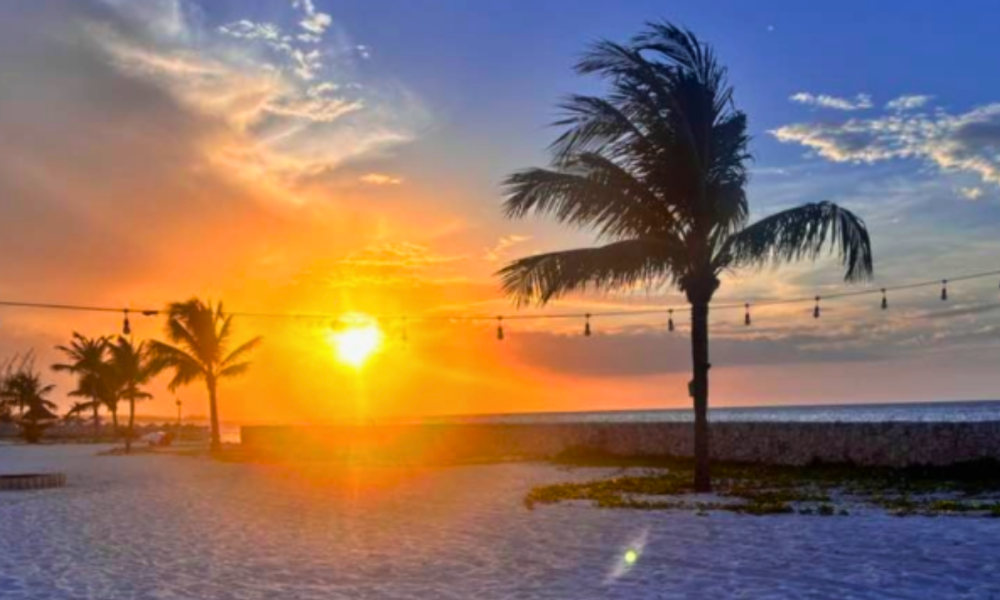 No Worries, Just Growth: Leadership Lessons from a Trip to Jamaica ...